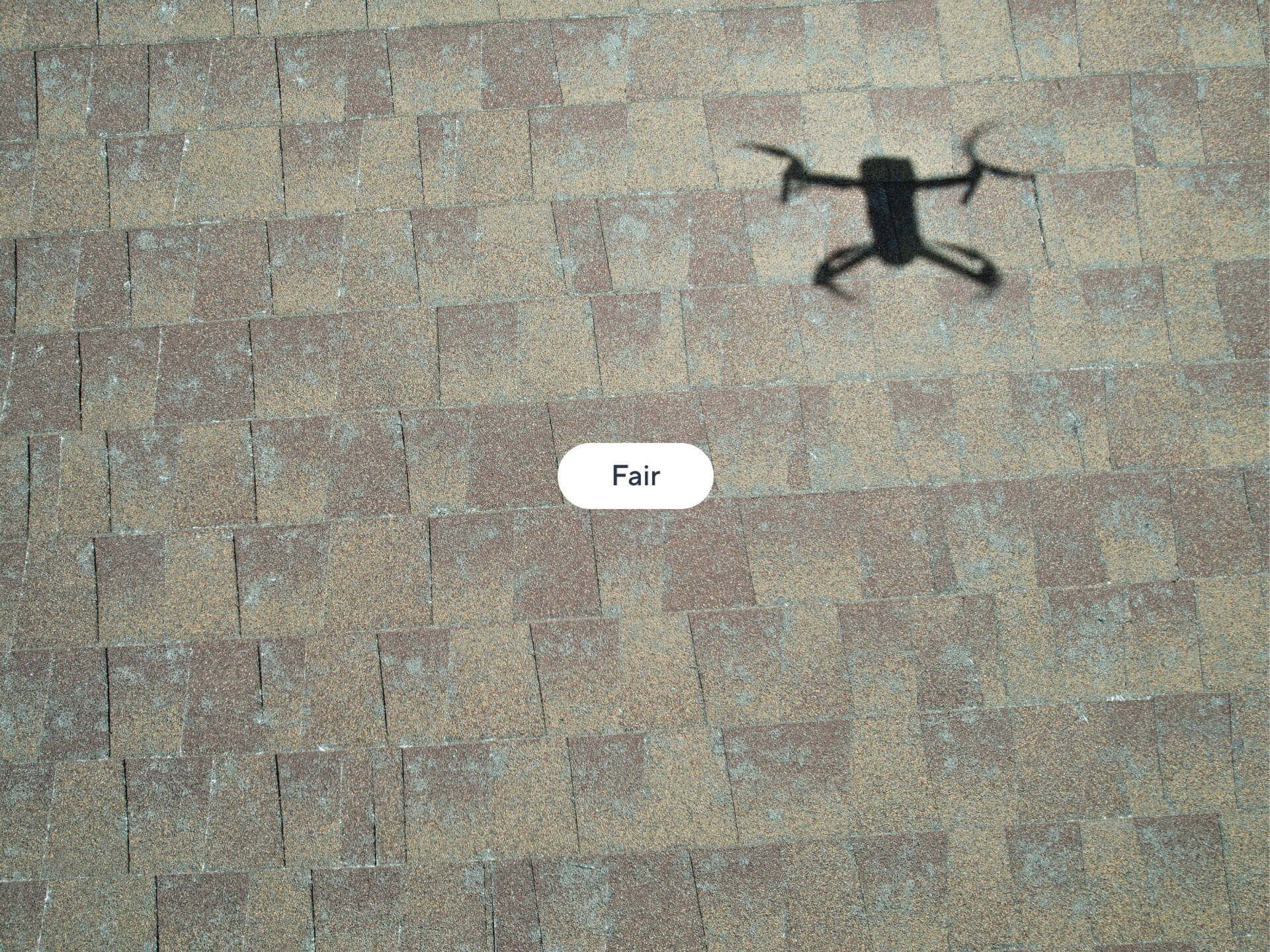 Bees360 - The Future of Property Inspections